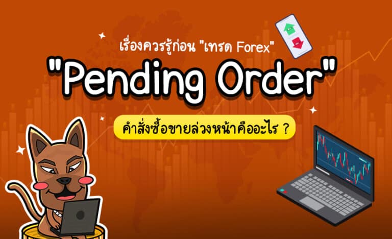 Pending Order คืออะไร? ใช้ยังไง? เทรด Forex ห้ามพลาด