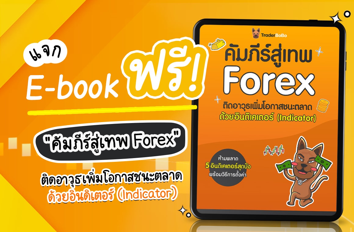 หนังสือ Forex แนะนำ! สอนใช้ "อินดิเคเตอร์ Forex" ฉบับมือใหม่ 2023 (E ...