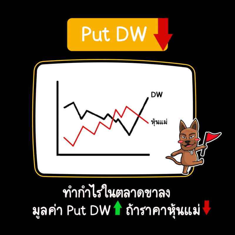 ทุนน้อย กำไรเร็ว! หุ้น DW คืออะไร เล่นยังไง? สรุปครบจบที่เดียว - สาระน่ารู้