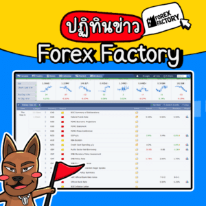 สอนวิธีดูปฏิทินข่าว Forex Factory และการวิเคราะห์ข่าว Forex