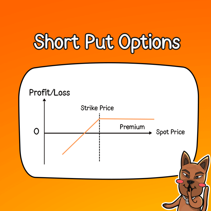 การเทรด Option คืออะไร? มีลักษณะอย่างไร? สรุป ครบ เข้าใจง่าย! - สาระน่ารู้
