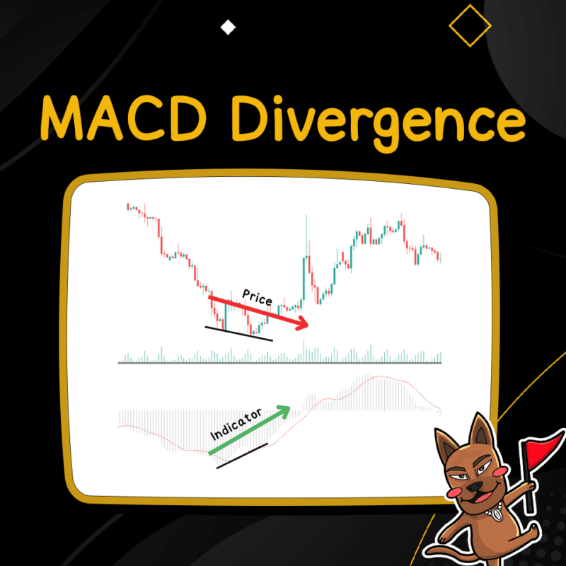 Divergence คืออะไร มีกี่แบบ: สัญญาณเทรดที่ดีที่สุด