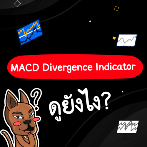 Divergence คืออะไร มีกี่แบบ: สัญญาณเทรดที่ดีที่สุด